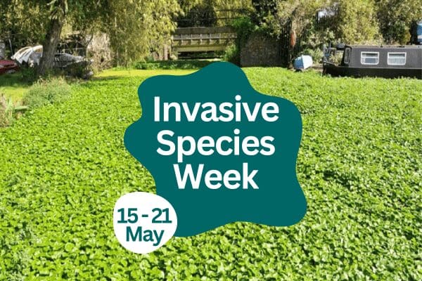 Help stop the spread of invasive species | Towpath Talk
