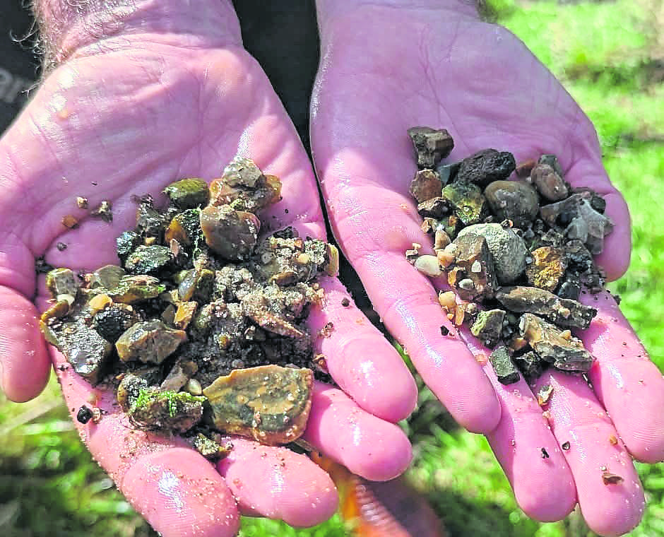 RIVER RODING REVIVED: Woody Deflectors Clear the Way for Wildlife ...